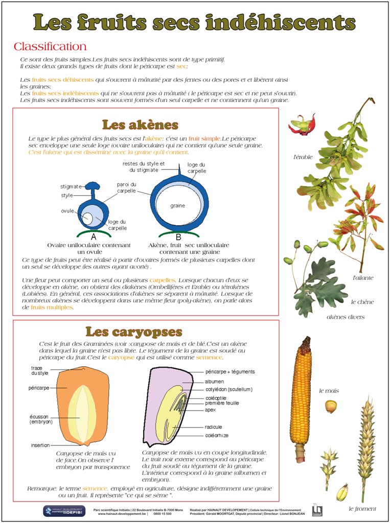 Hainaut Developpement - Agence de Développement de l'Economie et de l ...